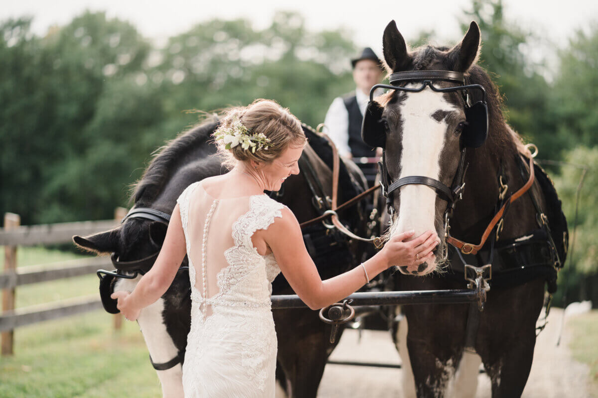Imagery - June Farms Weddings